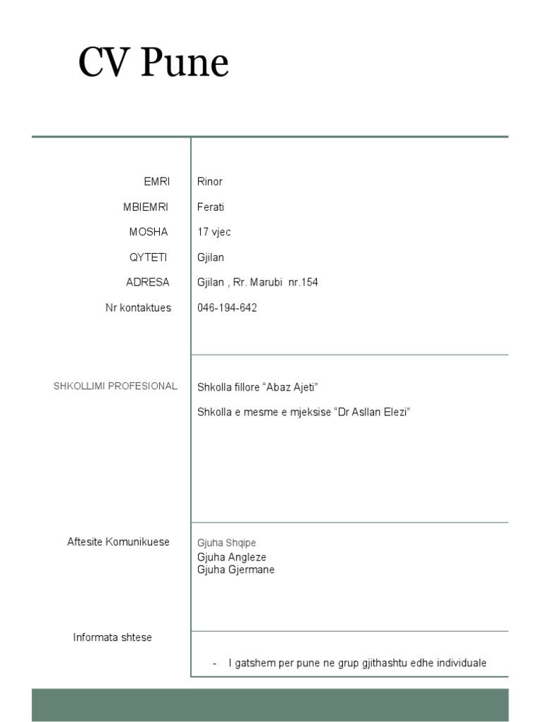 CV Pune: Shkollimi Profesional | PDF