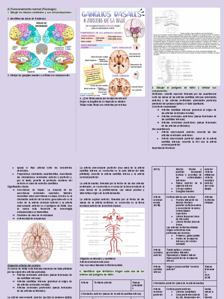 sgp 5 | PDF | Fluido cerebroespinal | Cerebro