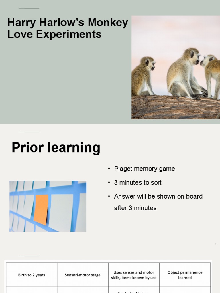 Year 10 PSY - Harlow Monkey Love | PDF