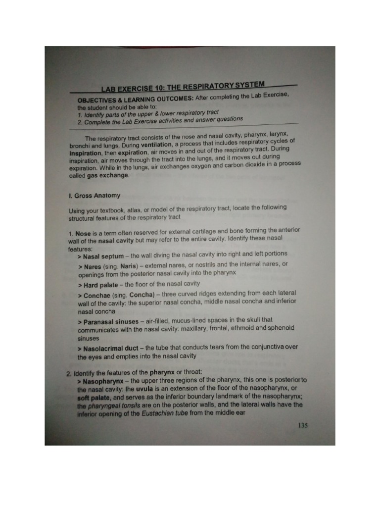 LAB EXERCISES FINAL - Anatomy - Abraham BSN1A | PDF