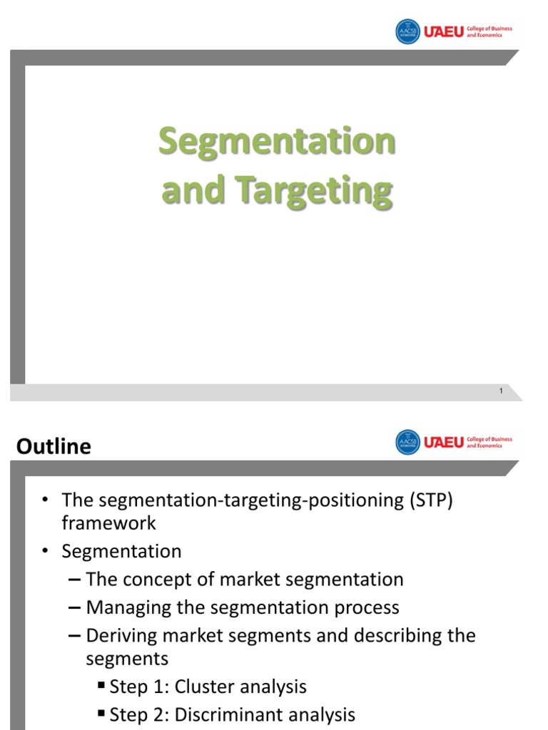 Segmentation and Targeting | PDF | Market Segmentation | Marketing
