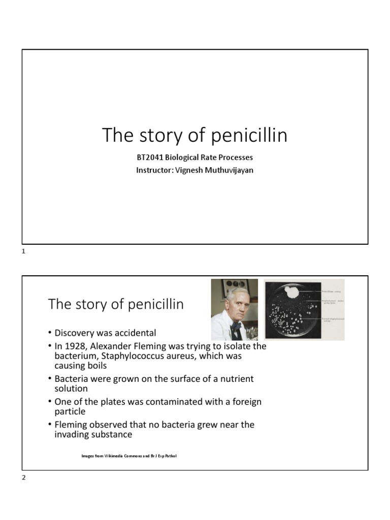 The Story of Penicillin | PDF | Phases Of Clinical Research | Penicillin