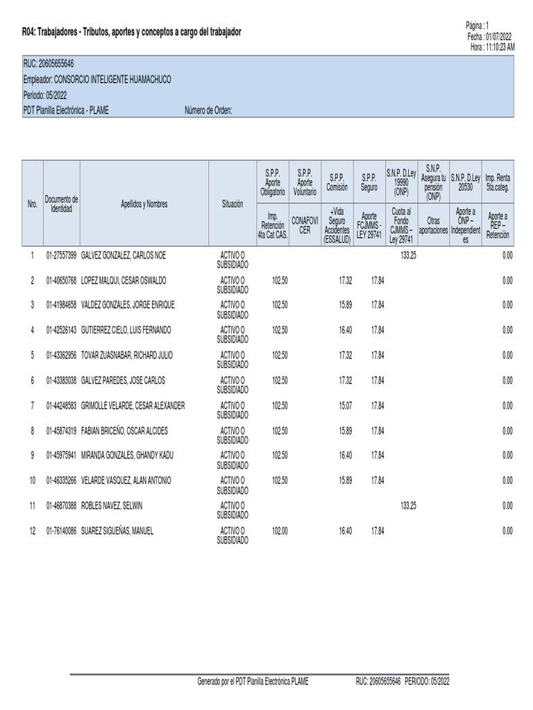 Plame 20605655646 - 202205 - R04 | PDF