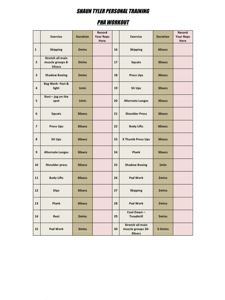 Solo Boxing Workout | PDF