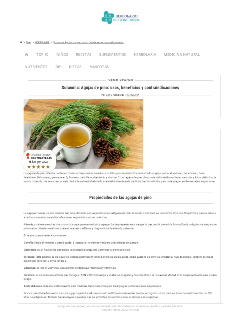 Suramina: Agujas de Pino: Usos, Beneficios y Contraindicaciones | PDF ...