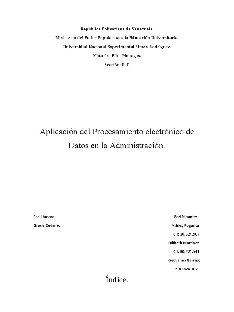 Aplicación Del Procesamiento De Datos En La Administración Pdf