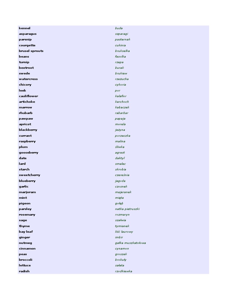 Vocabulary List | PDF