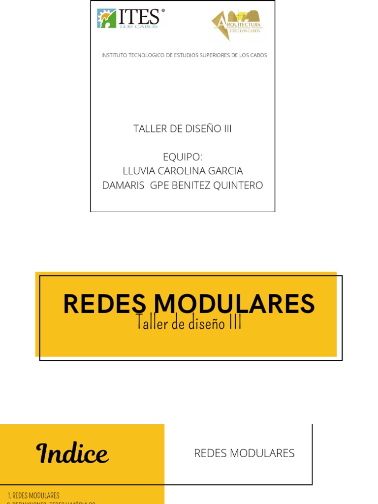 Redes Modulares: Definición y Tipos | PDF