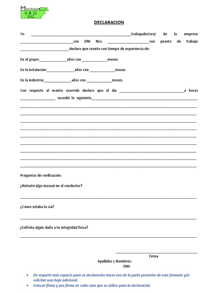 Formato Declaracion | PDF