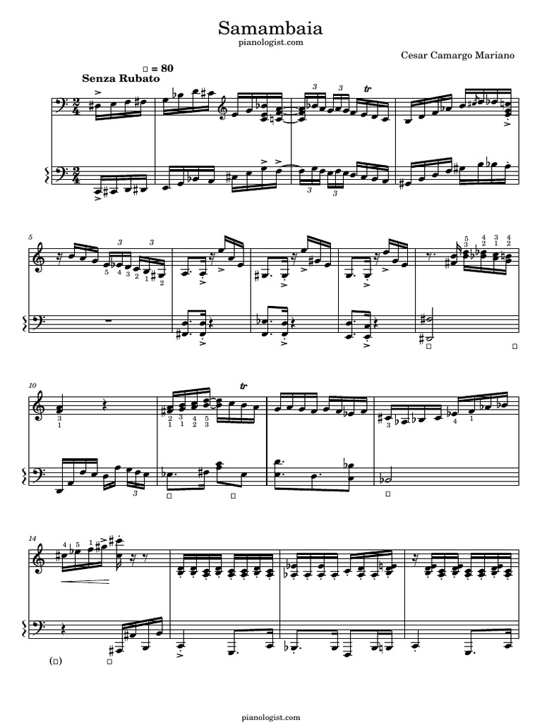 Samambaia by Cesar Camargo Mariano | PDF