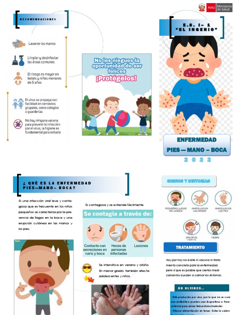 Enf. Pies Manos Boca | PDF