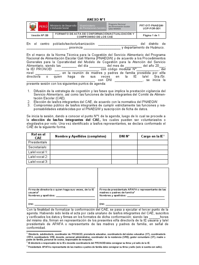 Formatos Anexo 1 Formato de Acta de Conformaciónactualización y ...