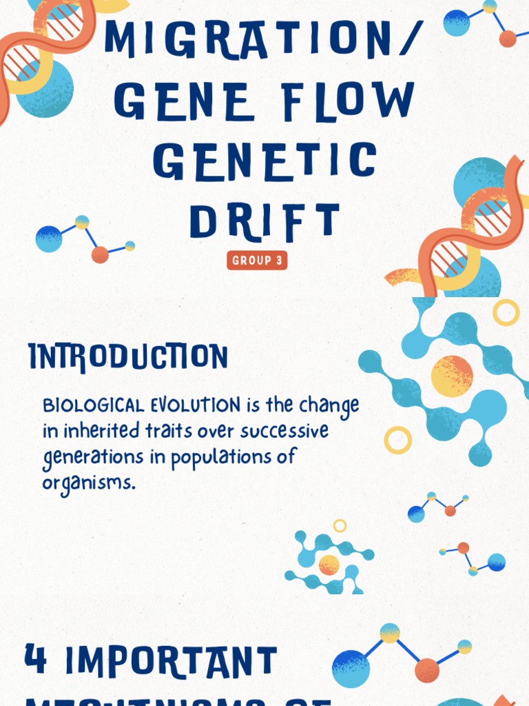 Migrationgene Flow Genetic Drift | PDF | Gene | Evolution