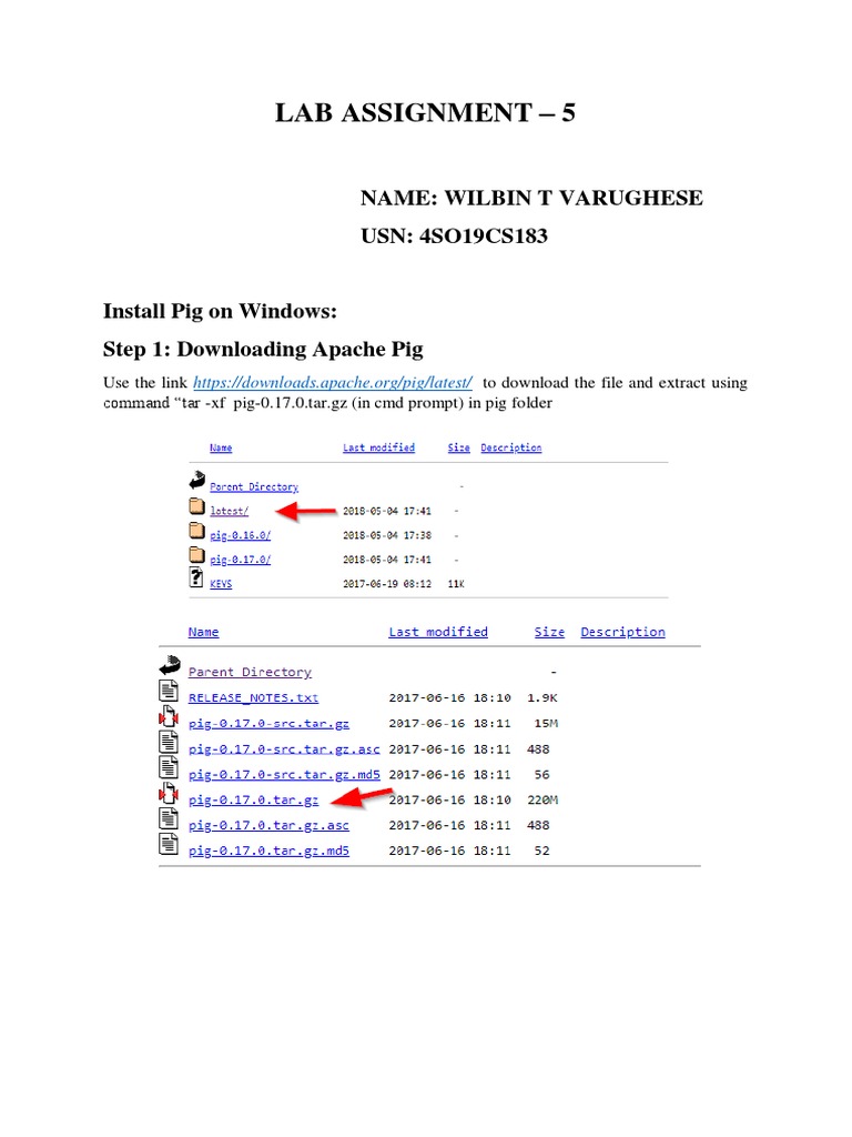 Pig Install | PDF | Computers | Technology & Engineering