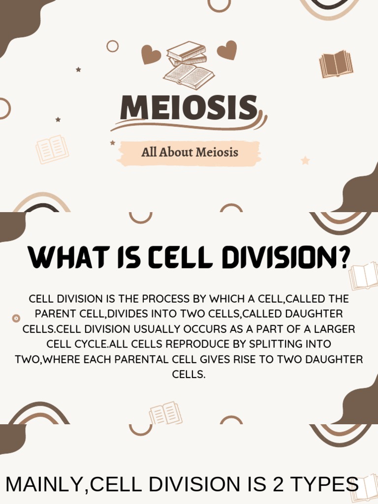 Meiosis | PDF | Meiosis | Chromosome