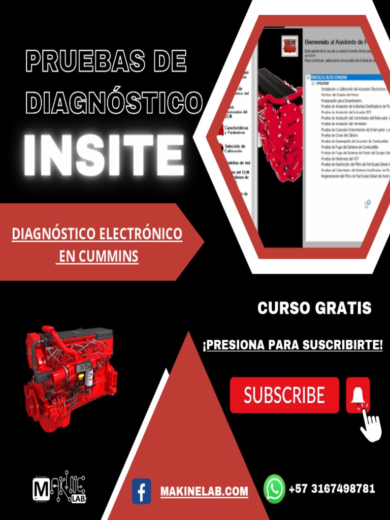 Pruebas de Diagnóstico INSITE | PDF