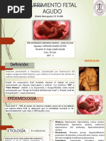 Micro, Matro y Macroambiente PDF | PDF | El embarazo | Embarazo Mamífero