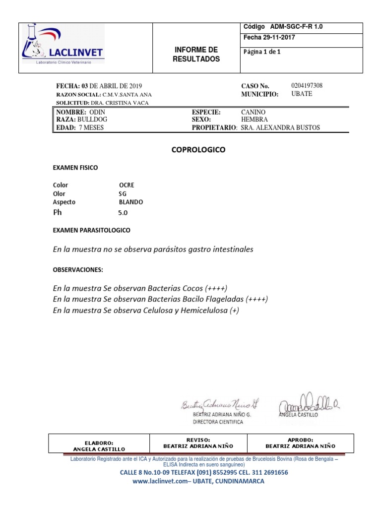 Coprologico: en La Muestra No Se Observa Parásitos Gastro Intestinales ...
