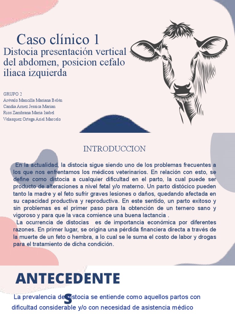 Caso Clínico 1: Distocia Presentación Vertical Del Abdomen, Posicion ...