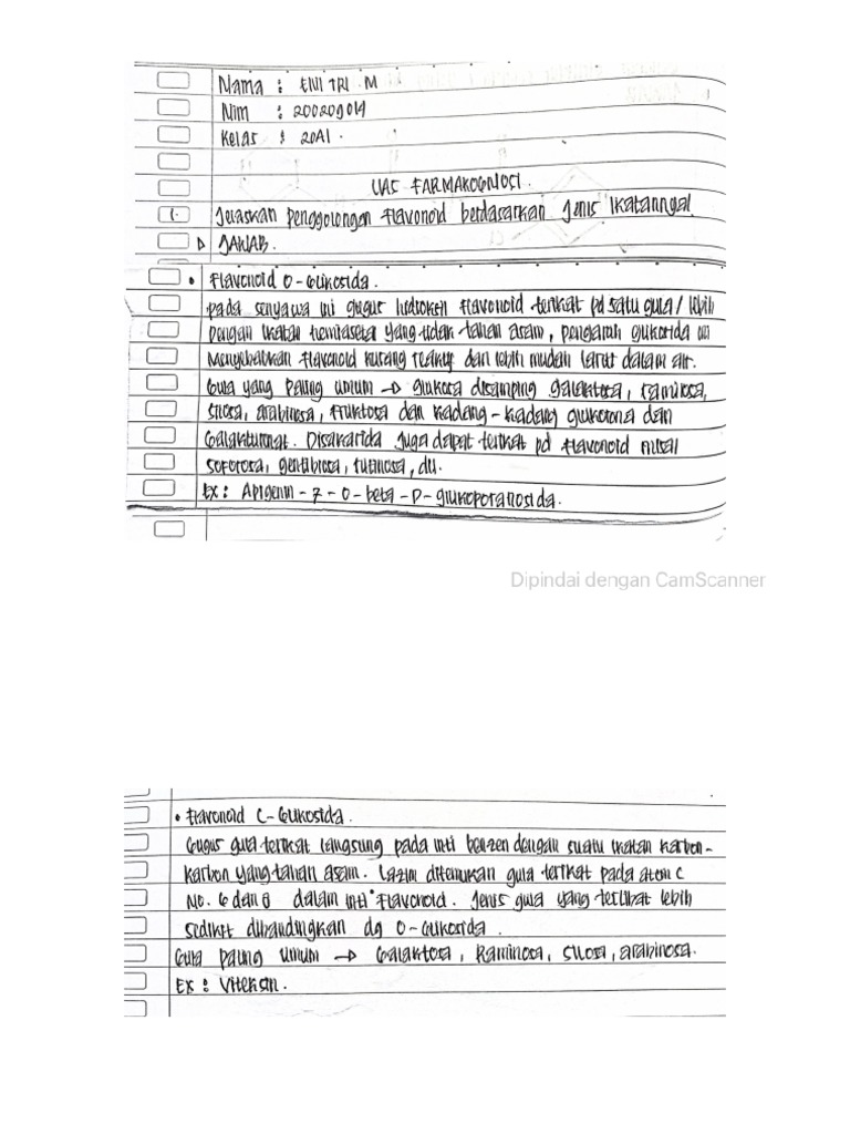 Eni Tri Mastuti - 20a1 - Nosi Ii | PDF