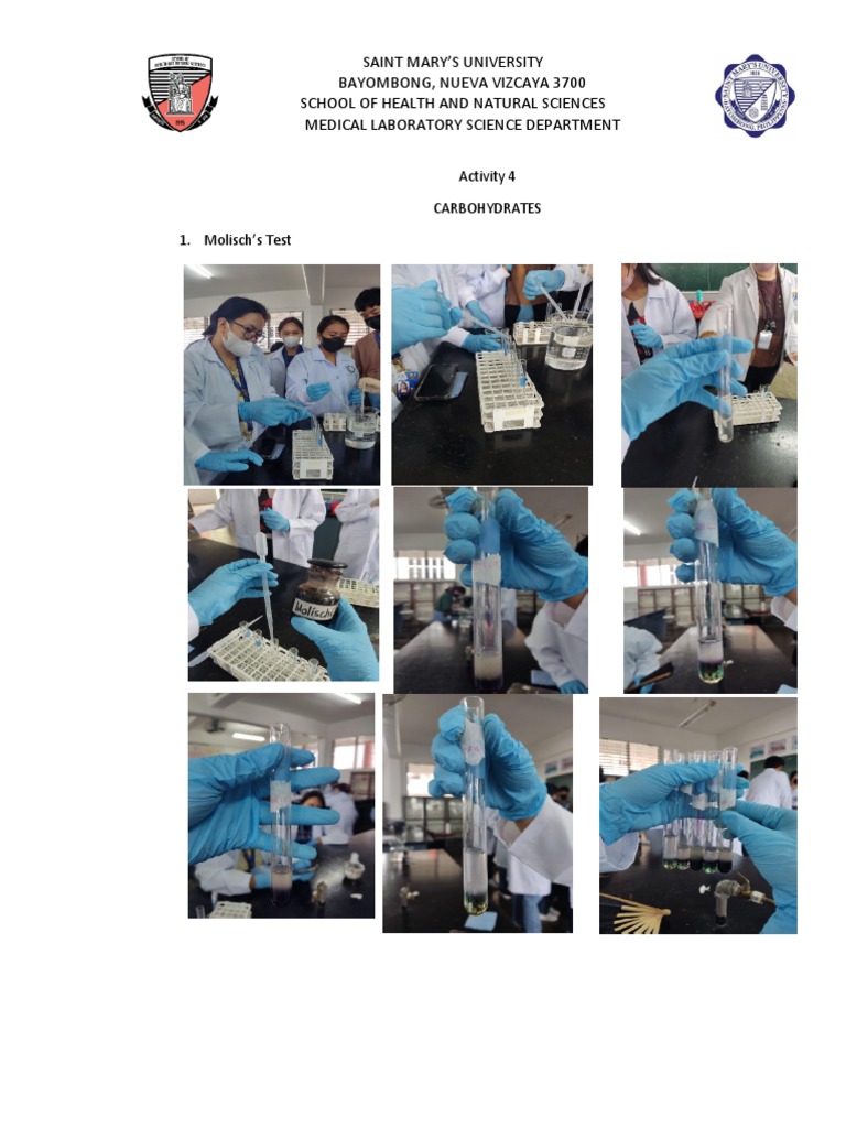 Activity 4 Carbohydrates | PDF