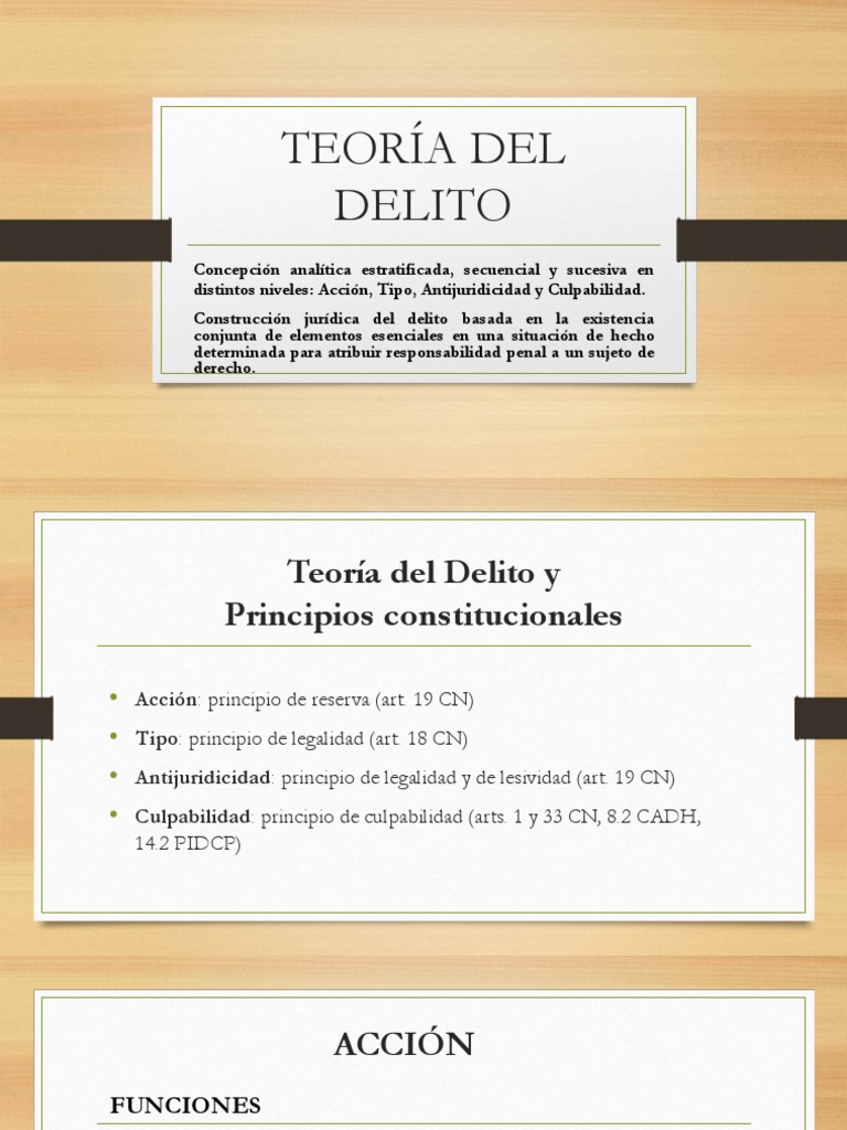 Acción - Teoría Del Delito | PDF | Derecho penal