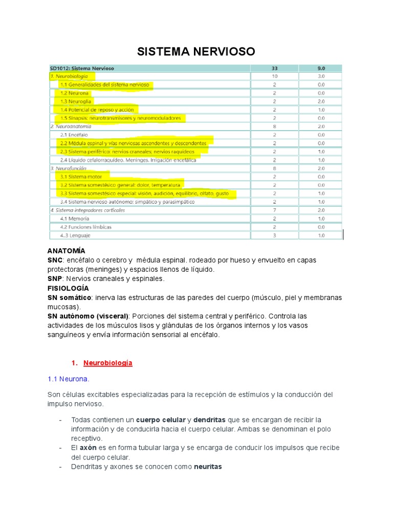 Sistema Nervioso | PDF | Sistema nervioso | Médula espinal