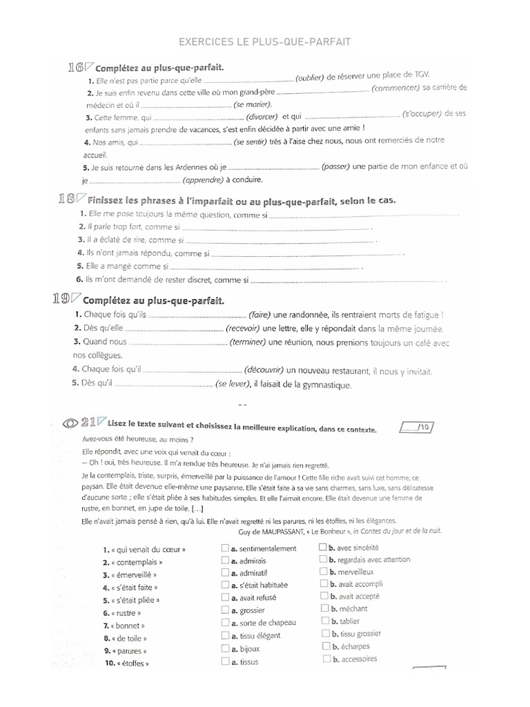 Exercices Le Plus-Que-Parfait | PDF