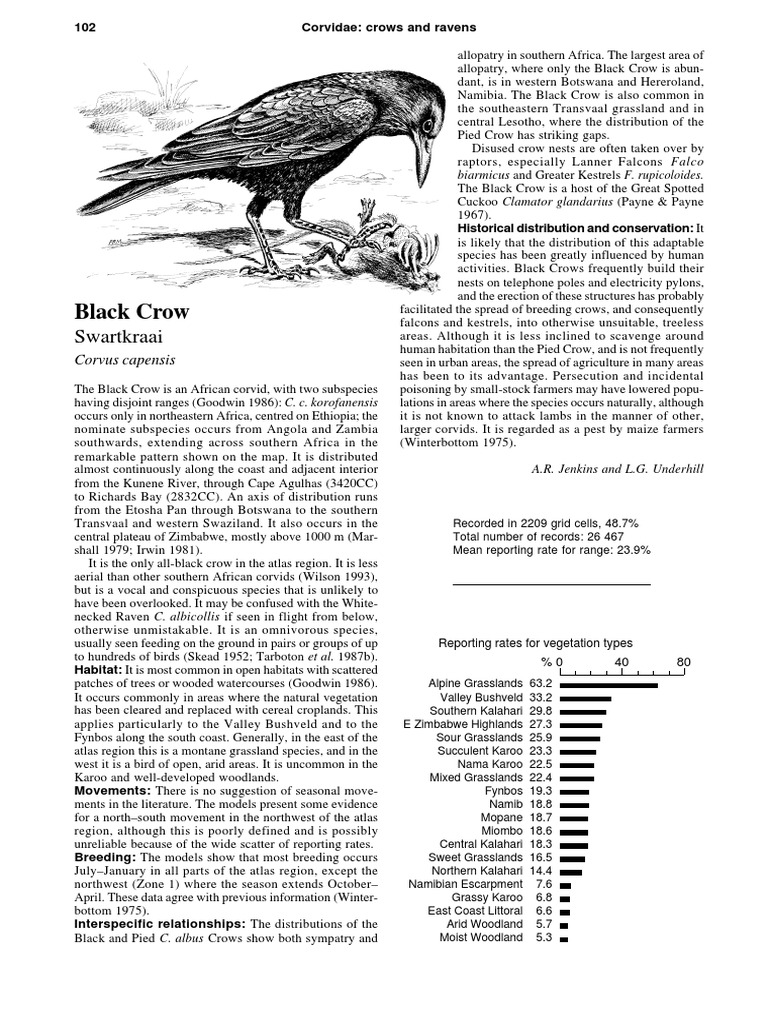 Distribution, Habitat, and Interactions of the Black Crow (Corvus ...
