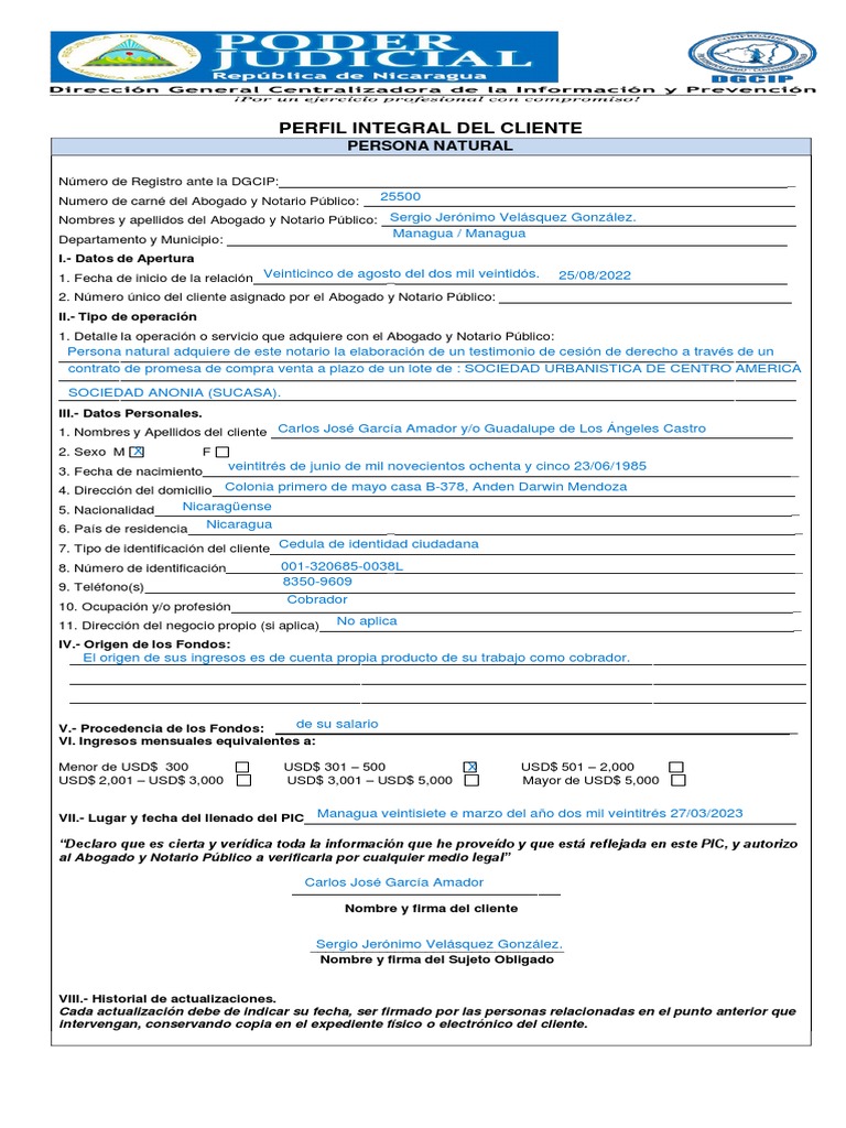 Perfil Integral Del Cliente: Persona Natural | PDF | Cliente | Justicia