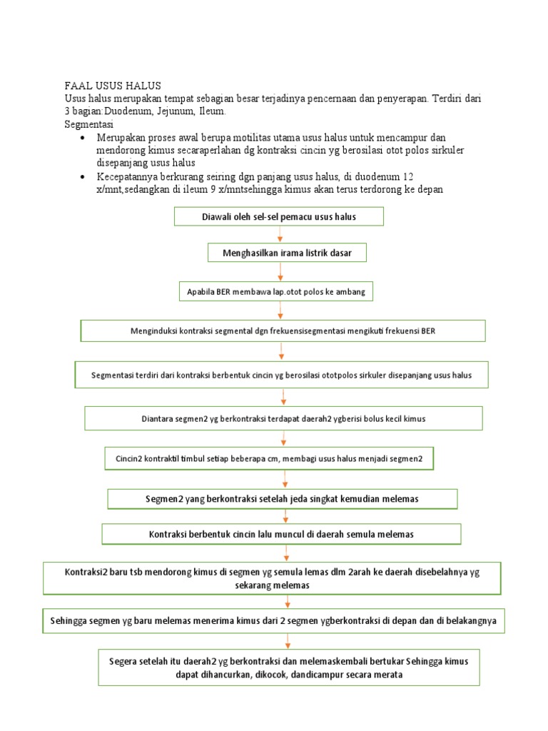 Faal SK3 Git | PDF | Kesehatan Holistik | Sains & Matematika