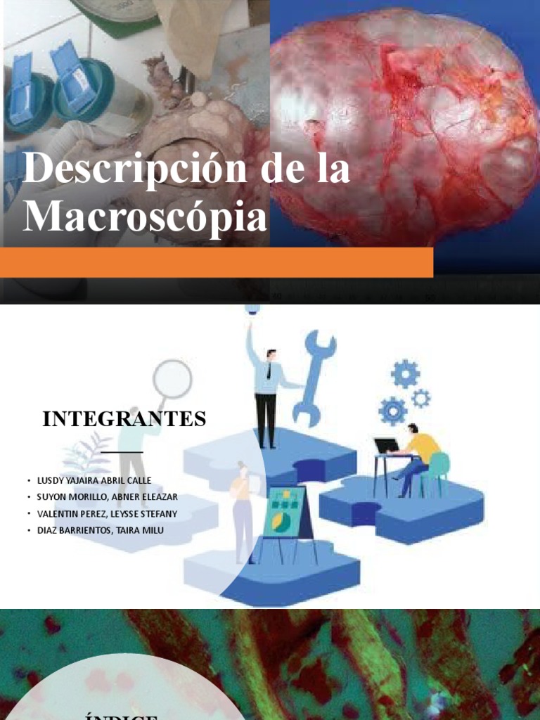 Descripción de La Macroscópia | PDF | Biopsia | Patología