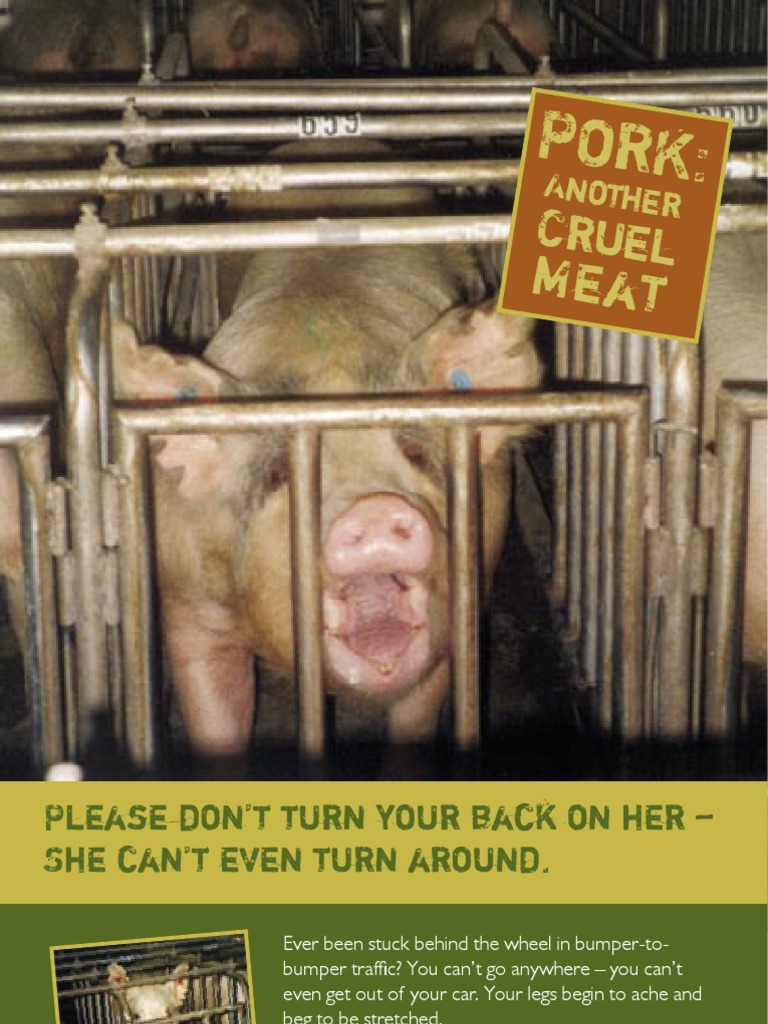 Pork: Another Cruel Meat | PDF | Compassion | Intensive Animal Farming