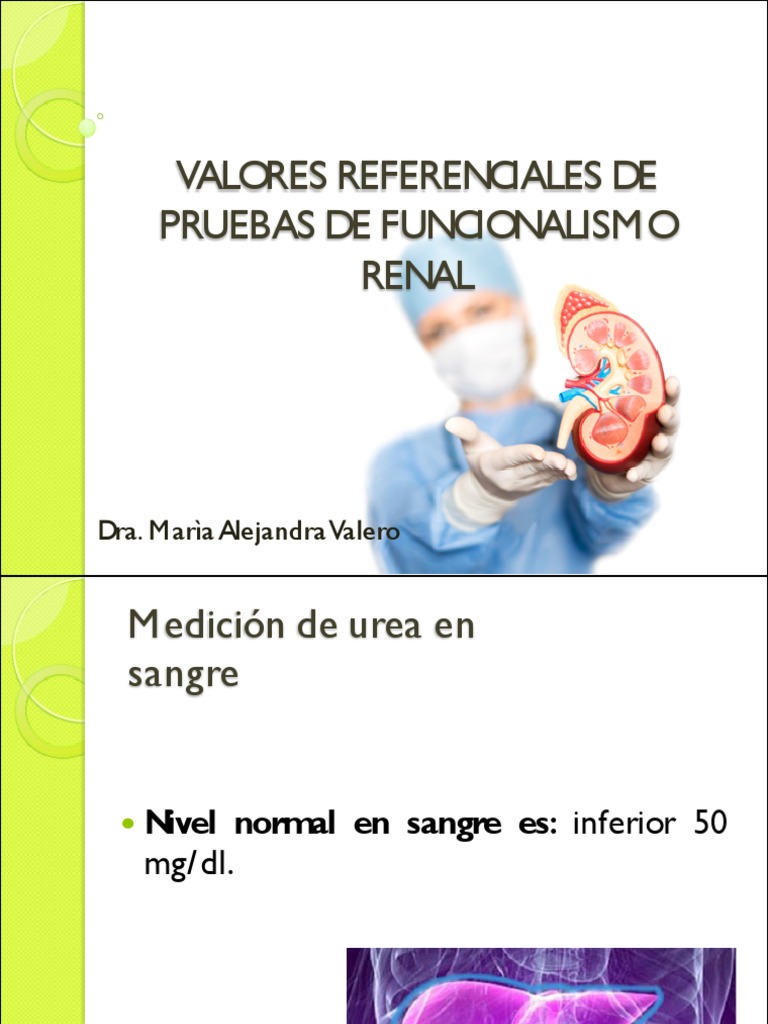 Valores Referenciales de Urea y Creatinina | PDF | Relaciones ...