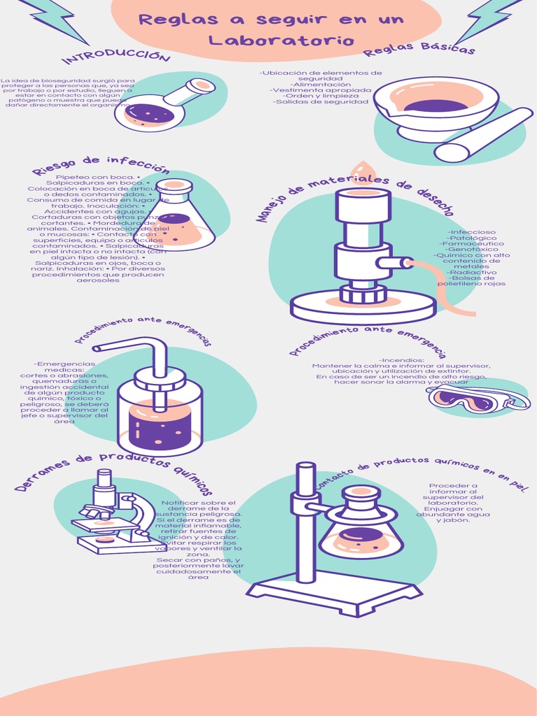 Infografía Material de Laboratorio orgánico ilustrado | PDF ...
