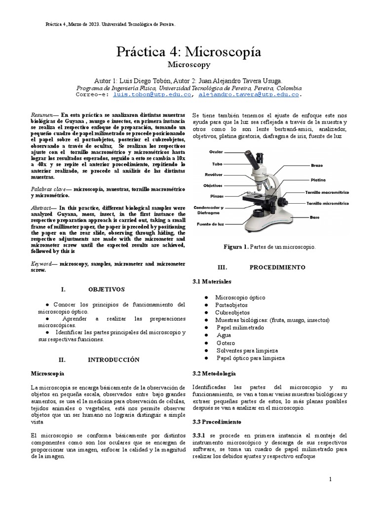 Práctica de Microscopía: Análisis de Muestras | PDF | Microscopio | Óptica