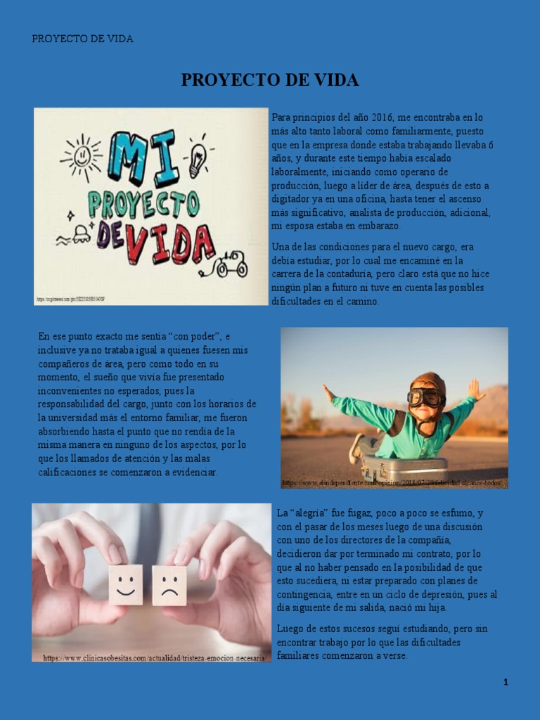 Proyecto de Vida - Dimensiones, Sueños y Metas | PDF | Salario | Economias