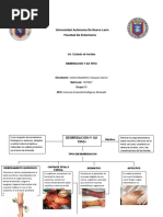 Limbo | PDF | Hoja | Botánica