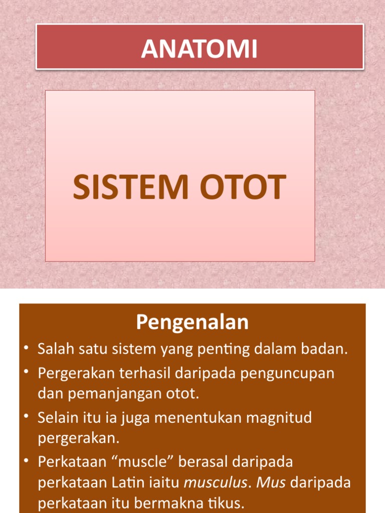 Anatomi: Sistem Otot | PDF
