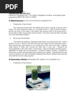Hay Infusion | PDF | Microorganism | Water