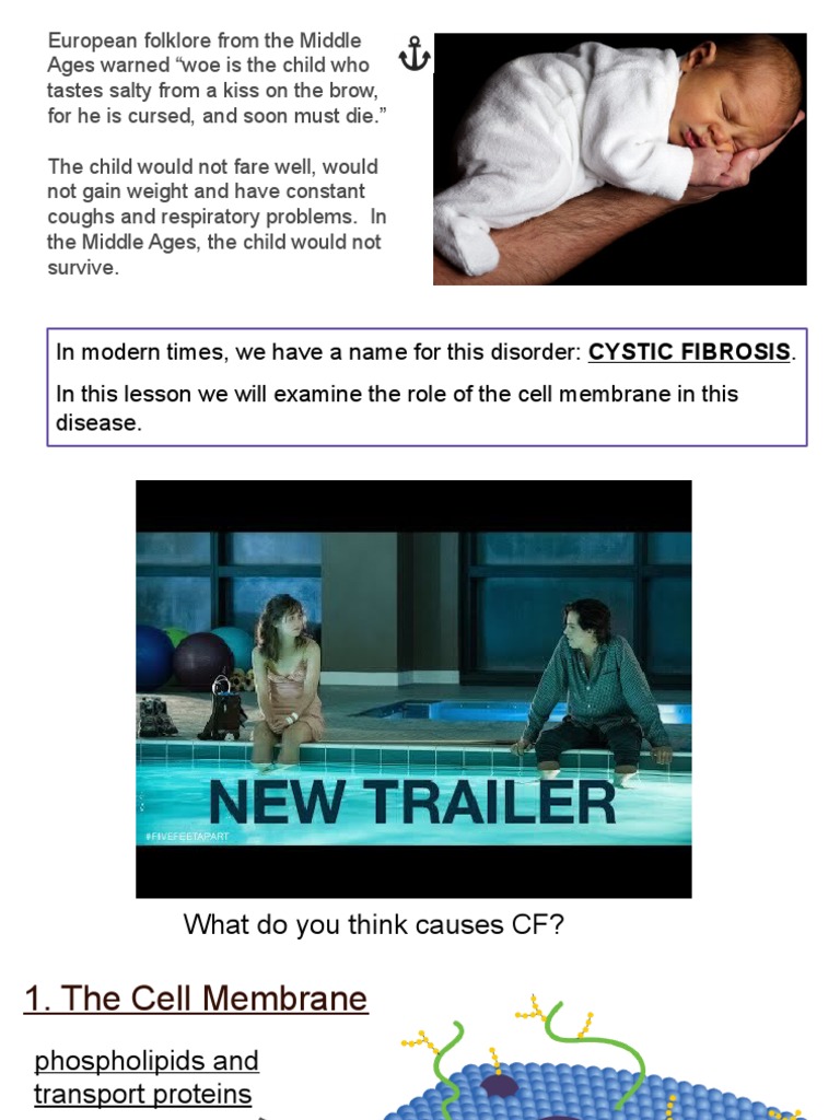 02 Cell Membrane and Transport | PDF | Cell Membrane | Osmosis