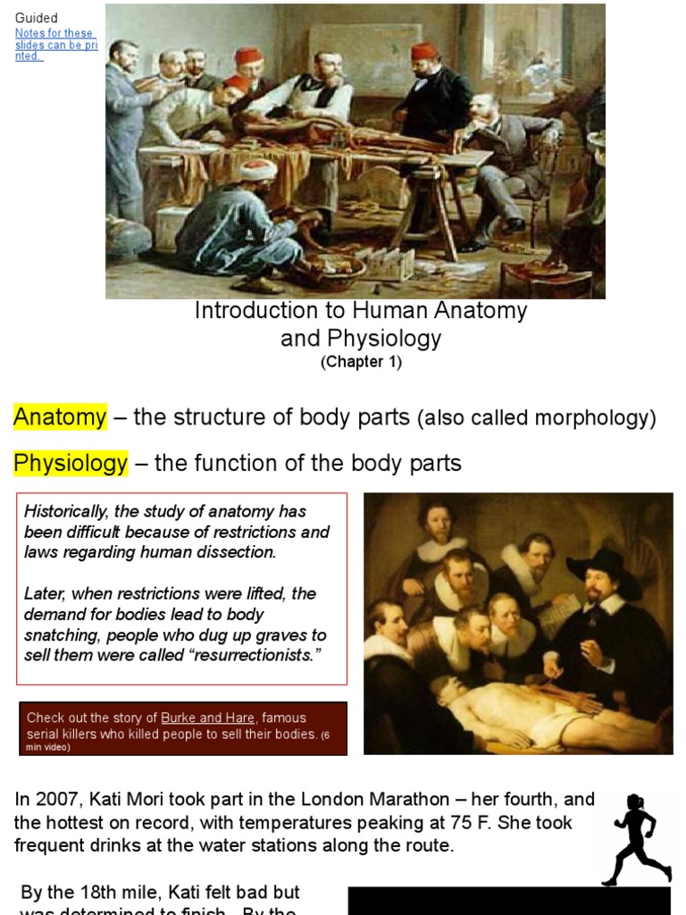 01 Introduction To Anatomy and Physiology | PDF | Anatomical Terms Of ...