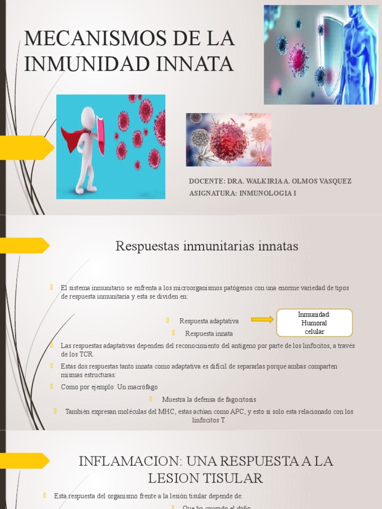 Tema 6 Mecanismos de La Inmunidad Innata | PDF | Inflamación | Sistema inmune