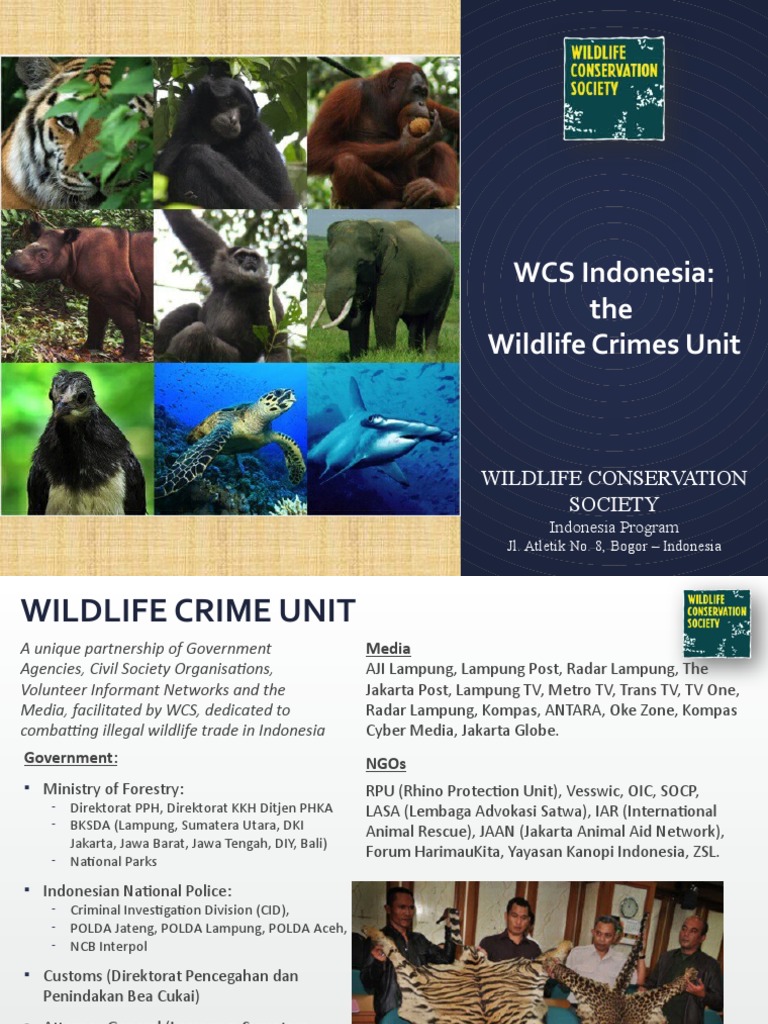 WCS Indonesia: The Wildlife Crimes Unit | PDF | Prosecutor | Police