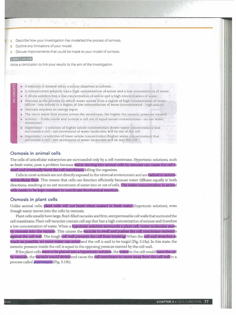 Osmosis In Plant Animal Cells Pdf Osmosis Applied And