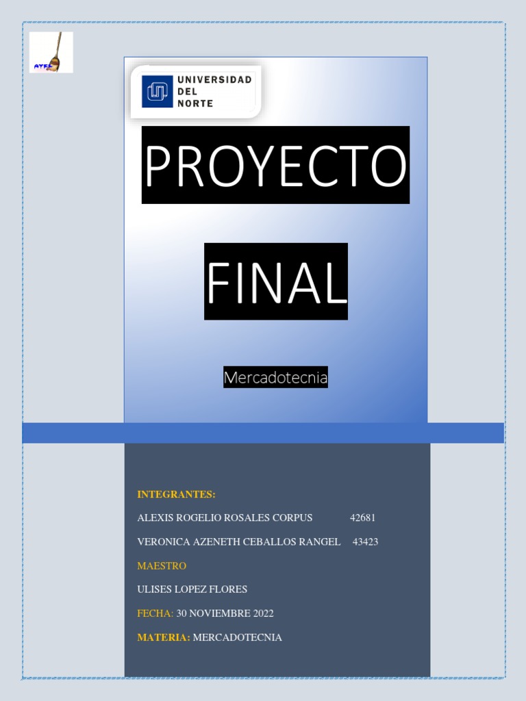Proyecto Final | PDF | Marketing | Producto (Negocio)