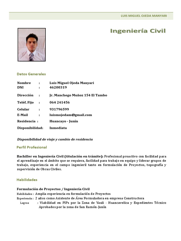 CV - Luis Ojeda Manyari | PDF | Ingeniero civil | Ingeniería
