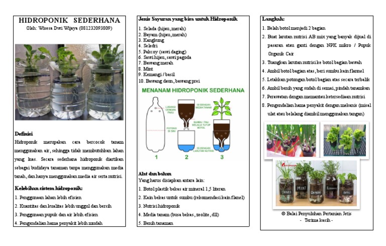 Materi HIDROPONIK SEDERHANA | PDF