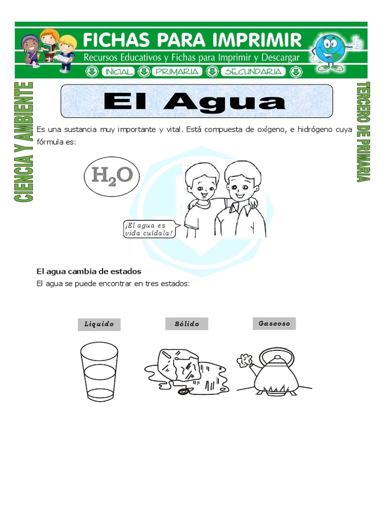 El ciclo vital del agua | PDF | Agua