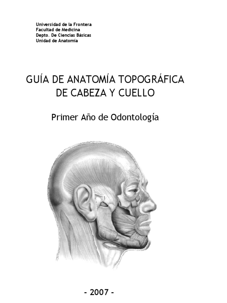 Atlas de Anatomia de Cabeza y Cuello | PDF | Laringe | Cráneo